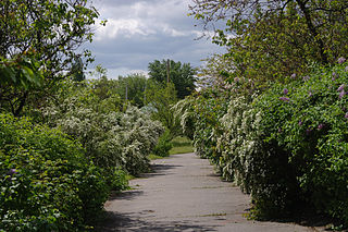 18 Sehenswürdigkeiten in Tscherkassy, Ukraine (mit Karte und Bildern ...